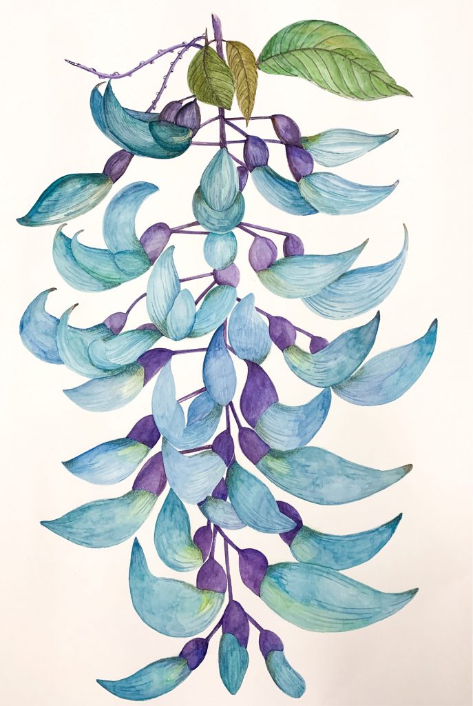 Jade Vine no2 poster - Artdesign