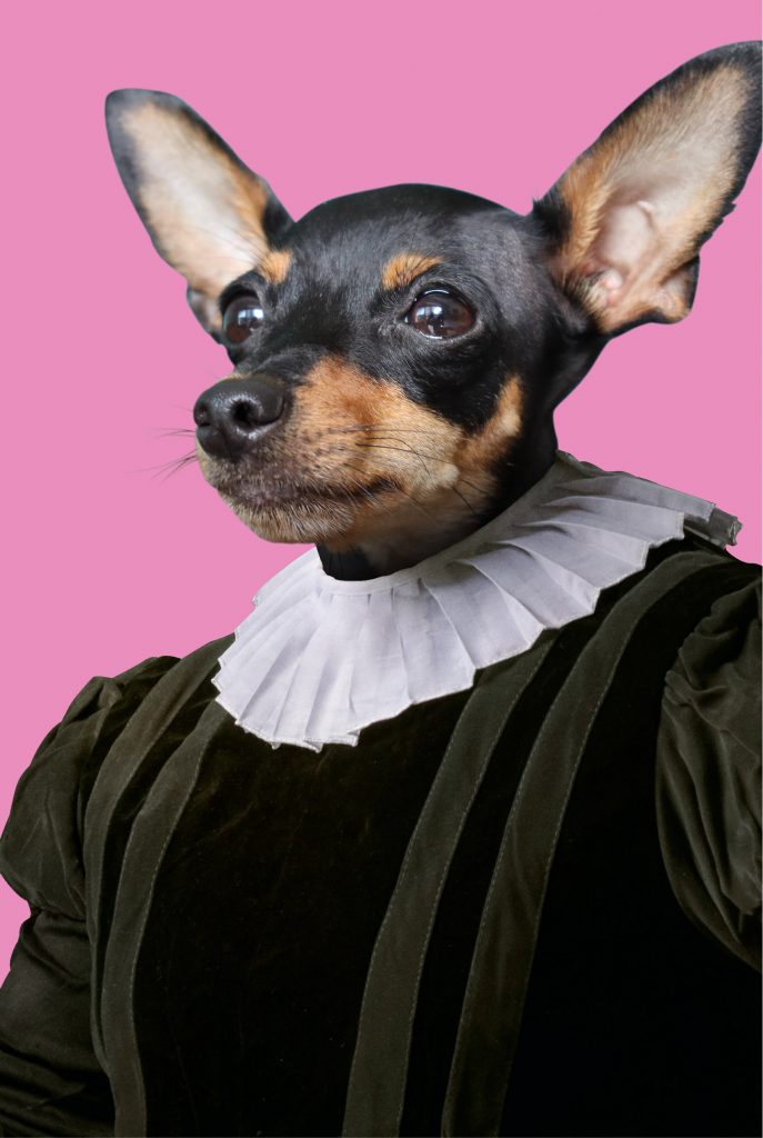 My Pet in Renaissance Clothes Poster - Artdesign